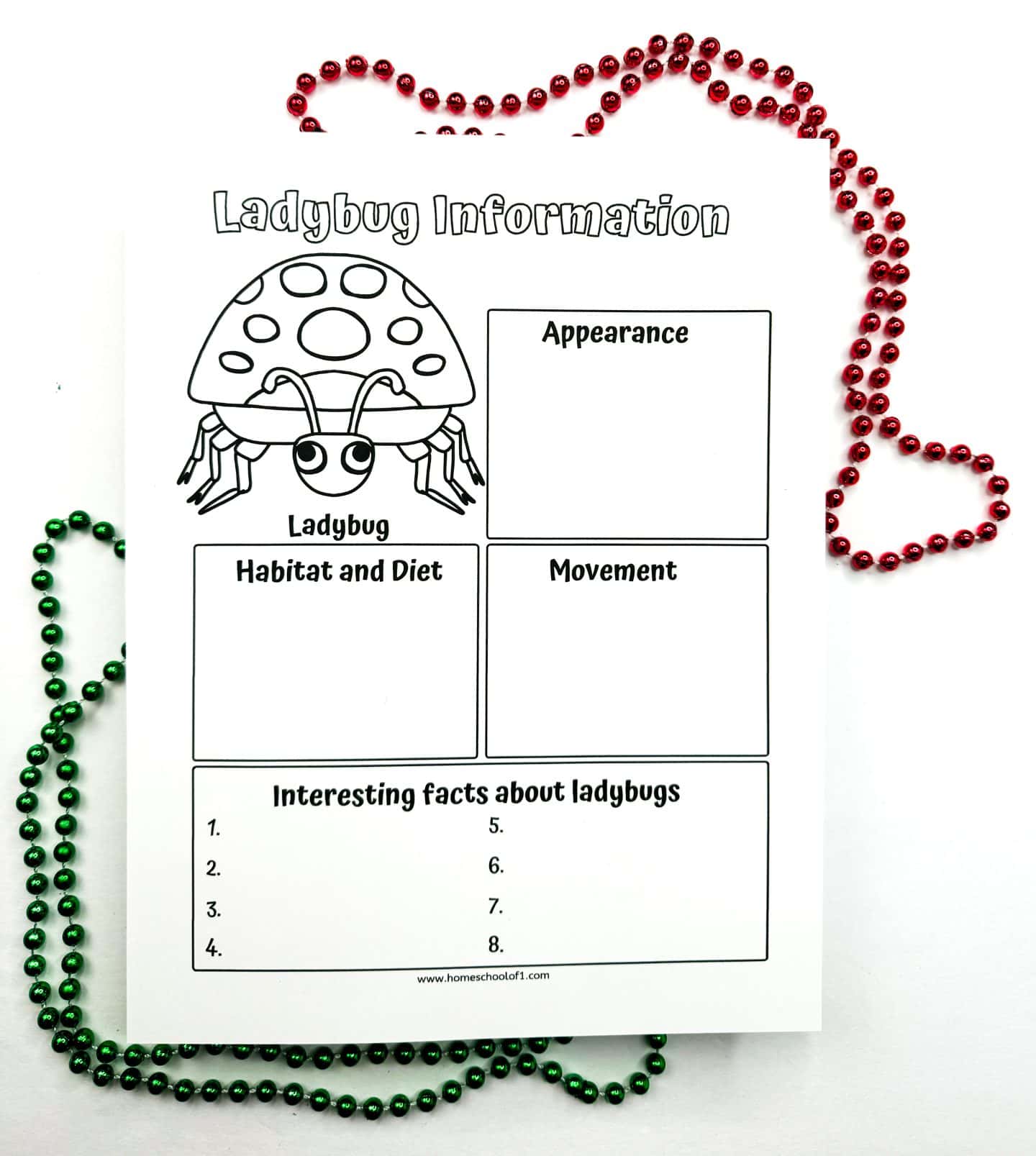 Free Ladybug Life Cycle Worksheet for Kids