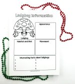Free Ladybug Life Cycle Worksheet for Kids