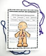Free Endocrine System Labeling Worksheet For Kids