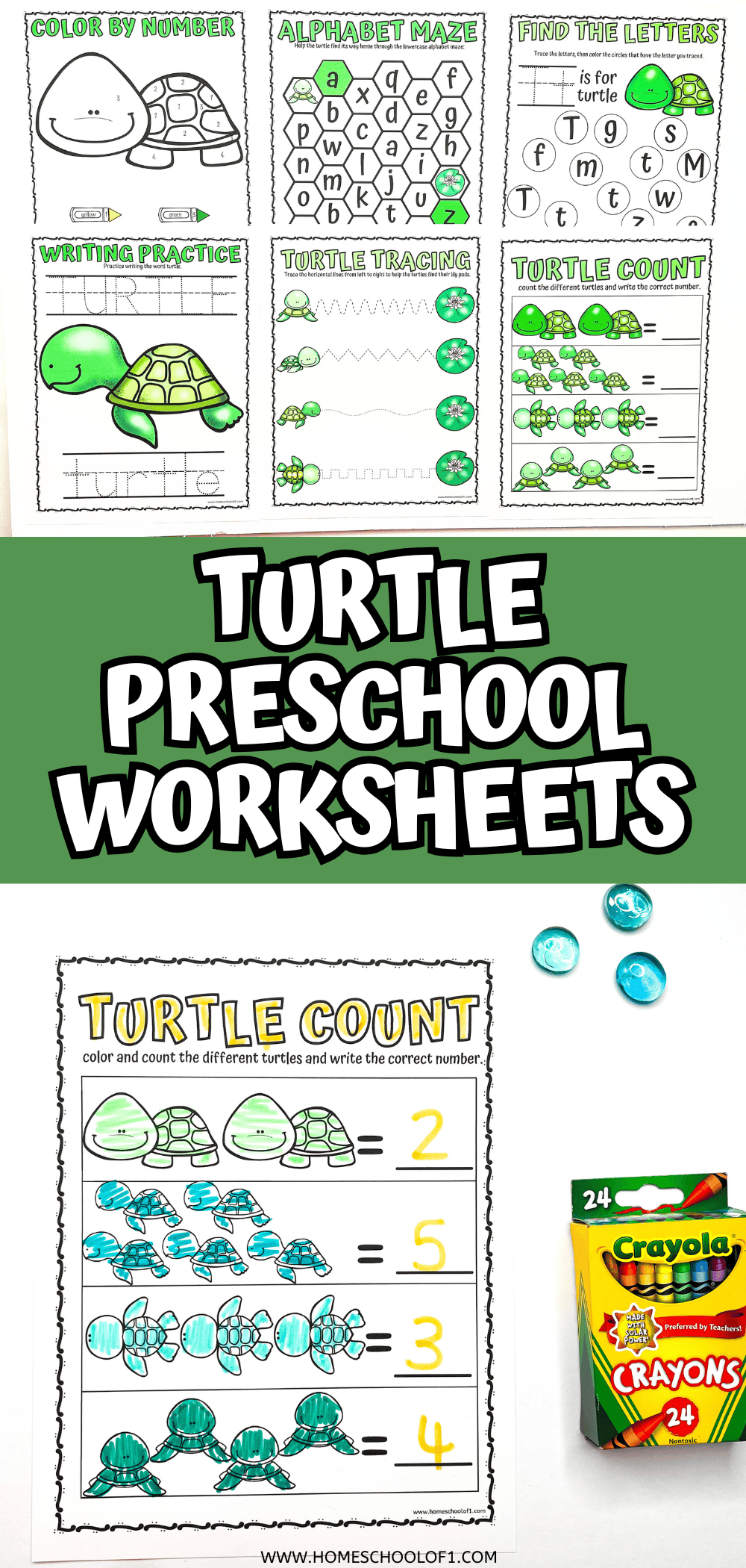 Free Turtle Worksheets for Preschoolers