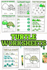 Free Turtle Worksheets for Preschoolers