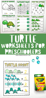 Turtle Worksheets for Preschool (Free Printables)