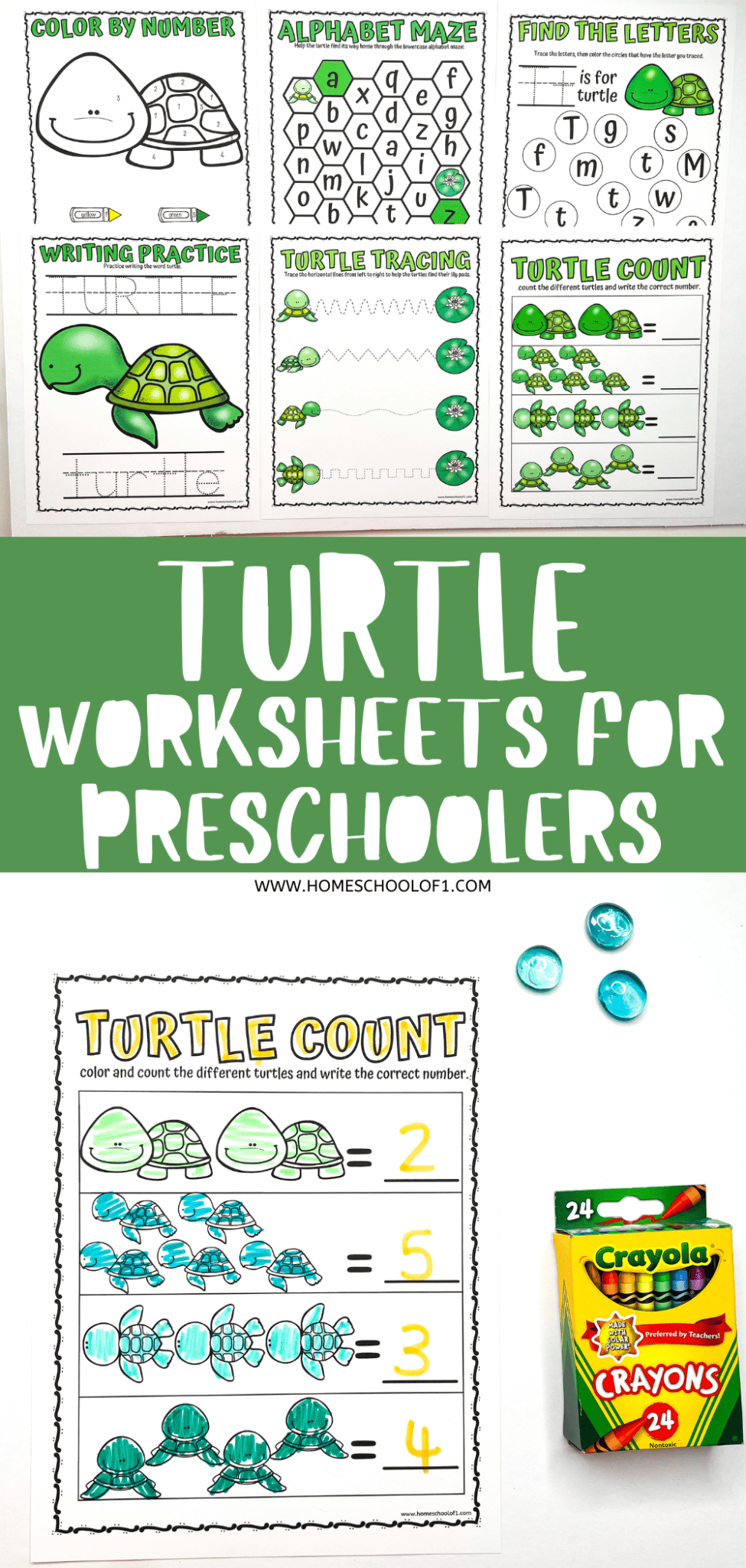 Turtle Worksheets for Preschool (Free Printables)