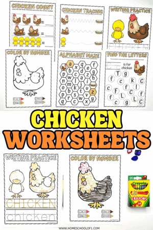 Free Chicken Worksheets for Preschoolers