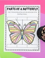 Free Printable Butterfly Worksheets for Kids
