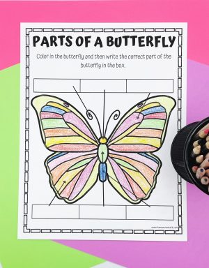 33 Free Insect Worksheets for Kids
