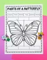Free Parts of a Butterfly Worksheet
