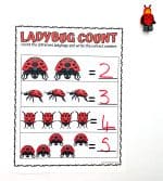 Free Ladybug Worksheets for Preschool Kids