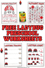 Free Ladybug Worksheets for Preschool Kids