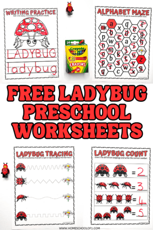 Free Ladybug Worksheets for Preschool Kids