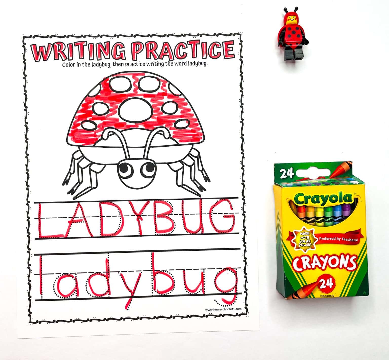 Free Ladybug Worksheets for Preschool Kids