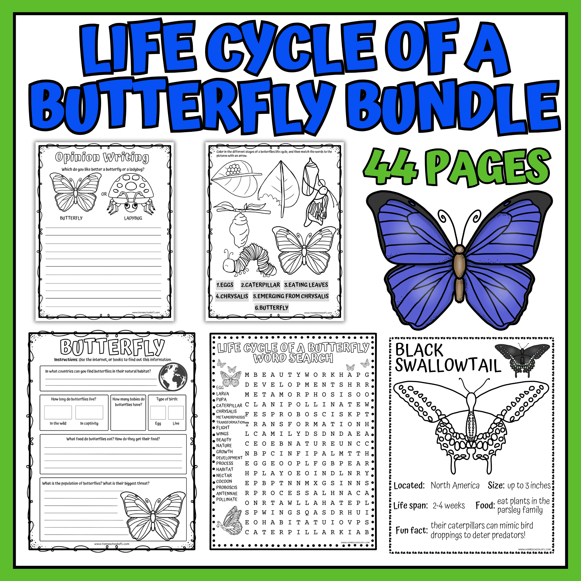 Free Life Cycle of a Butterfly Worksheet