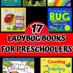 17 Best Ladybug Books for Kids
