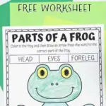 Free Parts of a Frog Worksheet