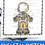 Free Skeletal System Labeling Worksheet