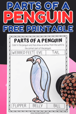 Parts of a Penguin Worksheet (Free Printable for Kids)
