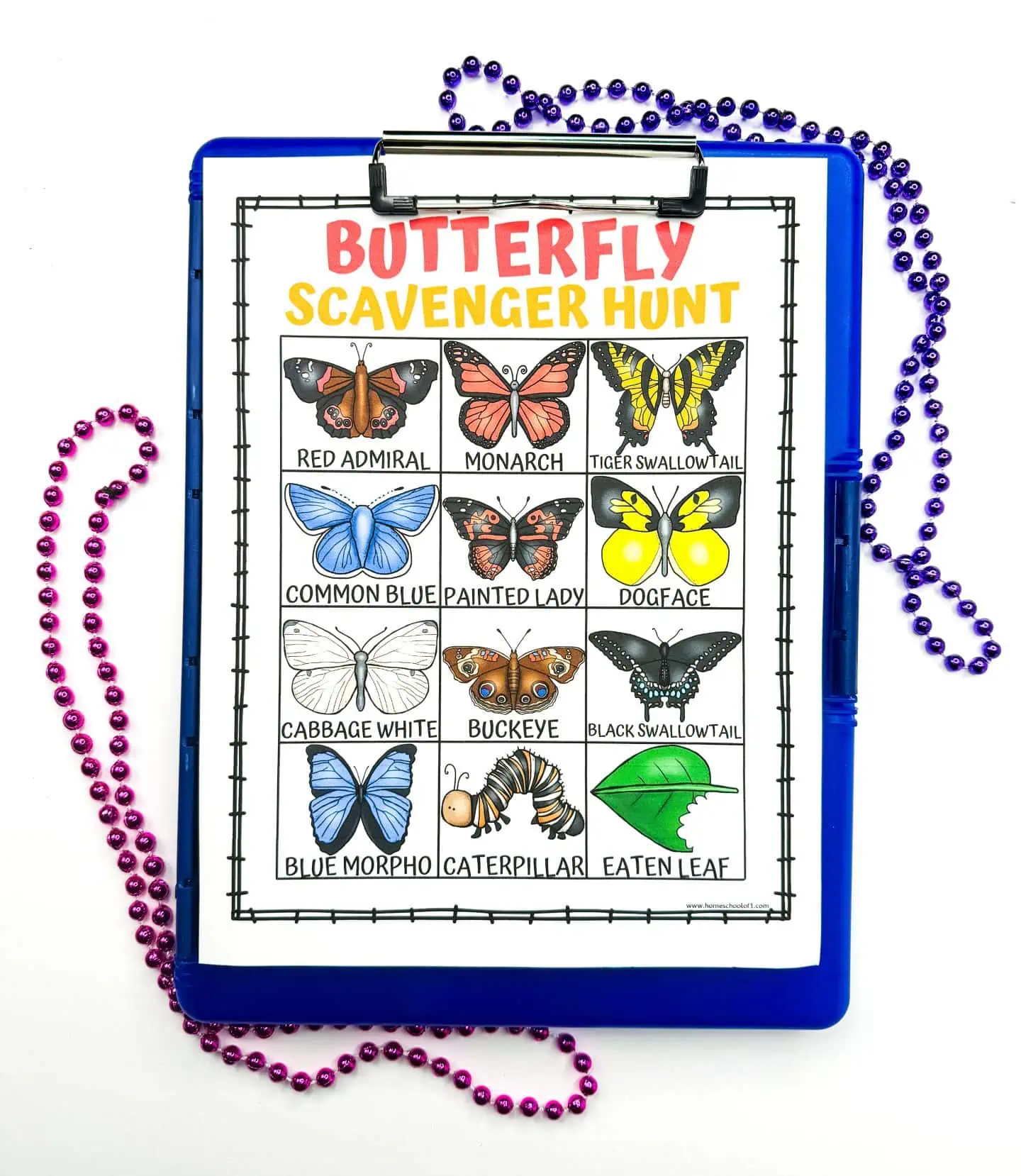 33 Free Insect Worksheets
