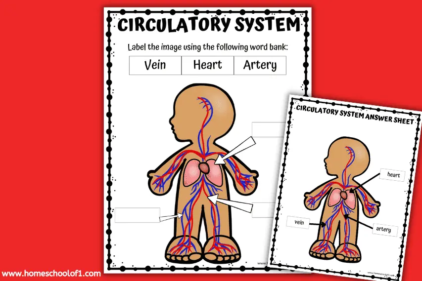 Printables Archives - Page 15 of 41 - Homeschool of 1