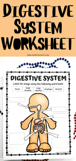 Free Digestive System Labeling Worksheet