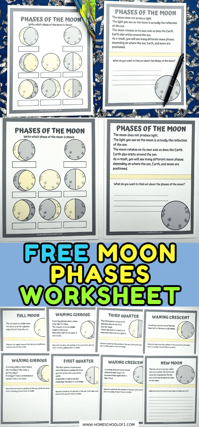 Free Phases of the Moon Worksheet for Kids