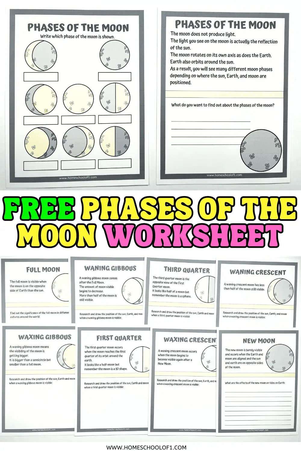 Free Phases of the Moon Worksheet for Kids