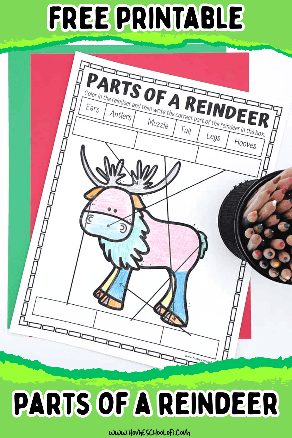 Free Parts of a Reindeer Worksheet