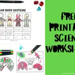 107 Free Printable Science Worksheets For Elementary
