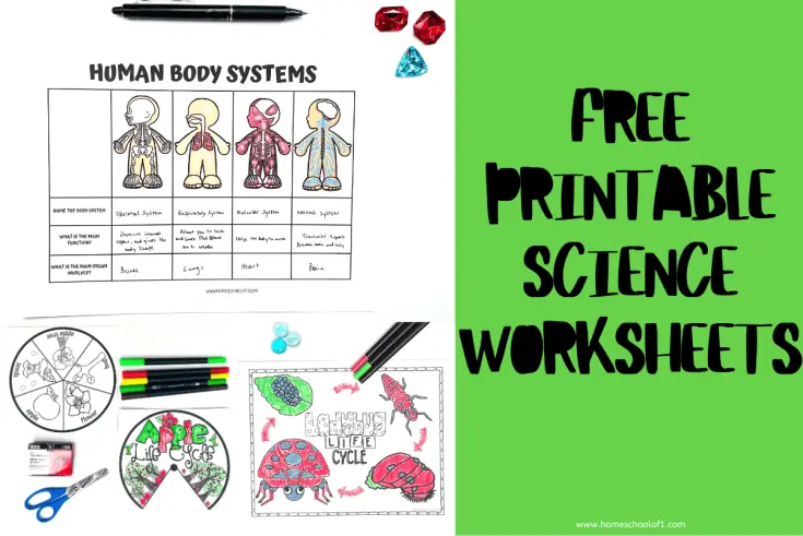 Free Science Activities for Elementary Students