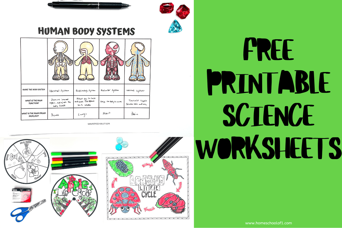 95 Free Science Worksheets for Kids in Grades K–5