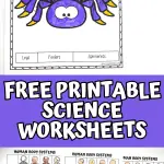 107 Free Printable Science Worksheets For Elementary