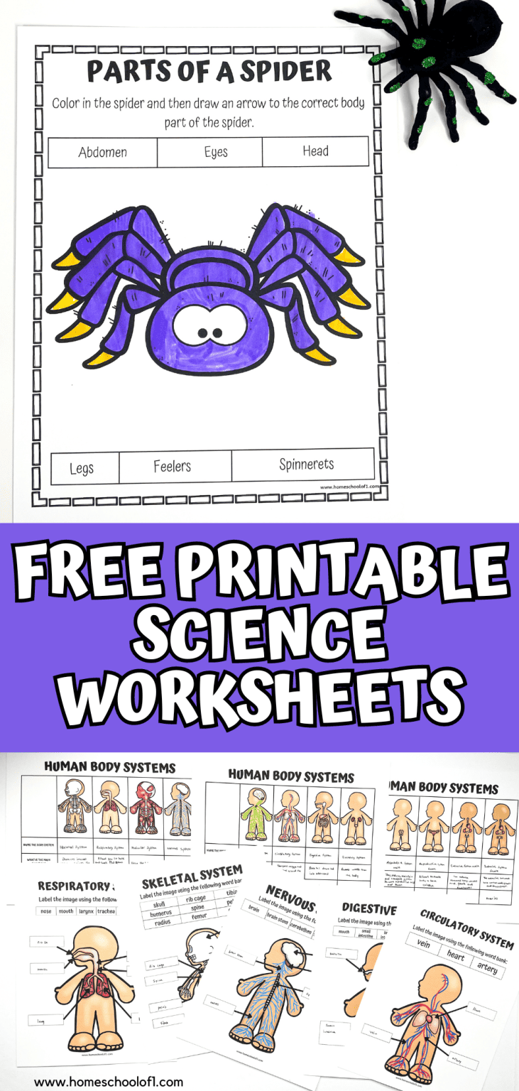 95 Free Science Worksheets for Kids in Grades K–5