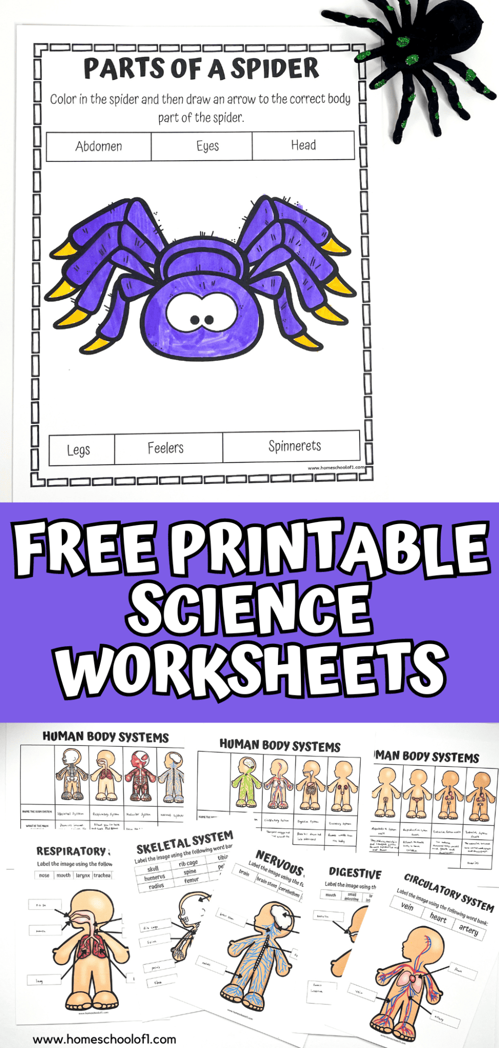 95 Free Science Worksheets for Kids in Grades K–5