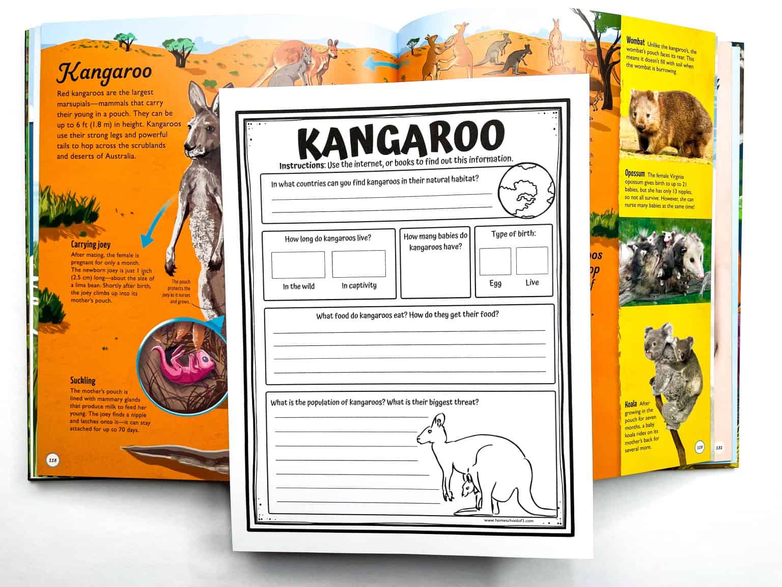 7 Continent of Australia and Oceania Worksheets