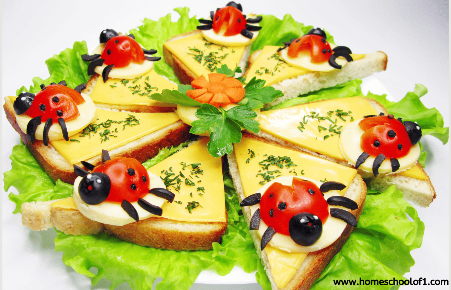 17 Best Ladybug Books for Kids