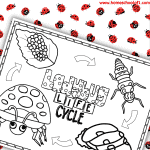 Free Ladybug Life Cycle Coloring Page