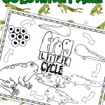 Free Frog Life Cycle Coloring Page for Kids