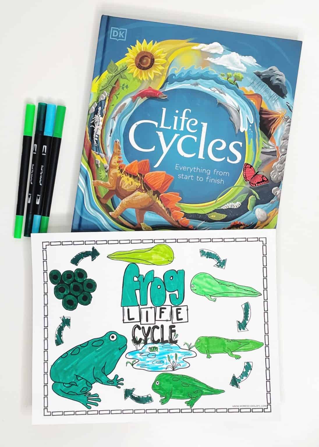 Free Frog Life Cycle Coloring Page for Kids