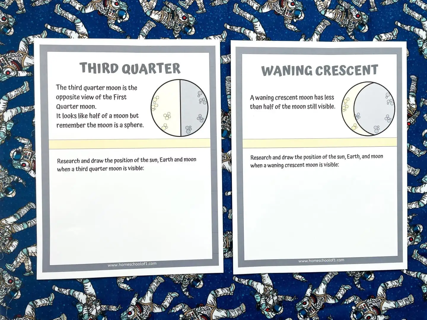 Free Phases of the Moon Worksheet for Kids