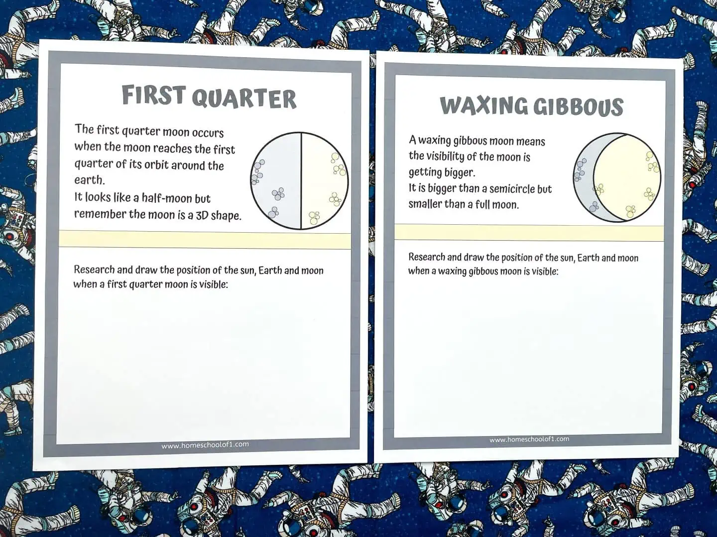 Free Phases of the Moon Worksheet for Kids