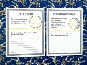 Free Phases of the Moon Worksheet for Kids