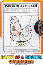 Free Parts of a Chicken Worksheet
