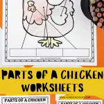 Free Parts of a Chicken Worksheet