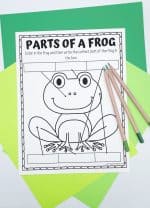 Parts of a Frog Worksheet for Kids (Free Anatomy Activity)