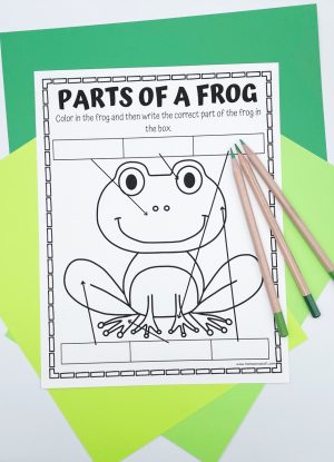 Parts of a Frog Worksheet for Kids (Free Anatomy Activity)