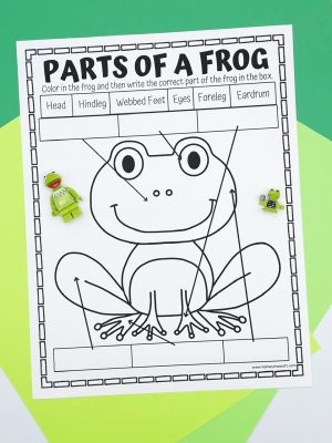 Free Parts of a Frog Worksheet