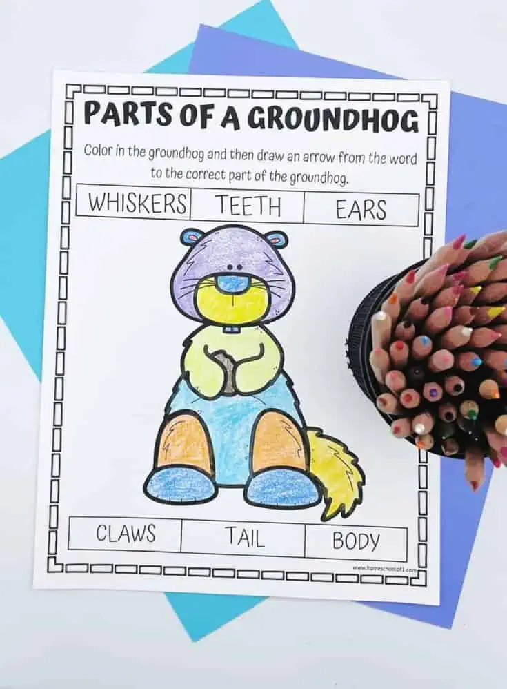 Free Groundhog Day Printables for Fun and Learning
