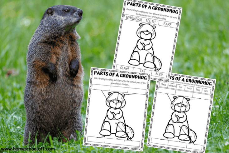 Free Groundhog Day Printables for Fun and Learning
