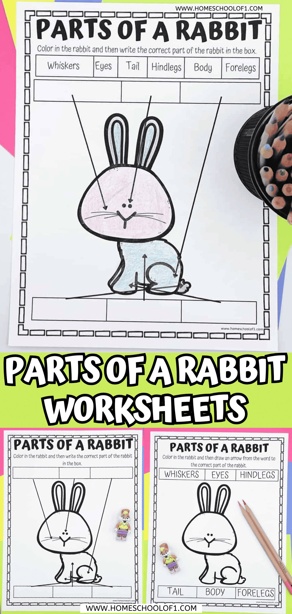 Free Parts of a Rabbit Worksheet