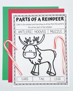 Free Parts of a Reindeer Worksheet