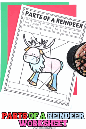 Free Parts of a Reindeer Worksheet